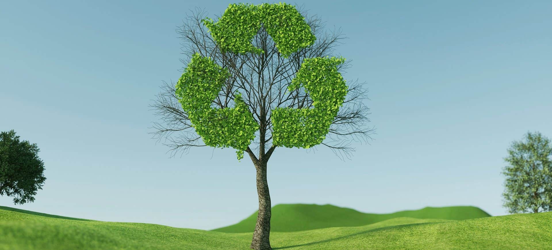 Tips voor het succesvol inzetten van MVO-activiteiten - MVOPro